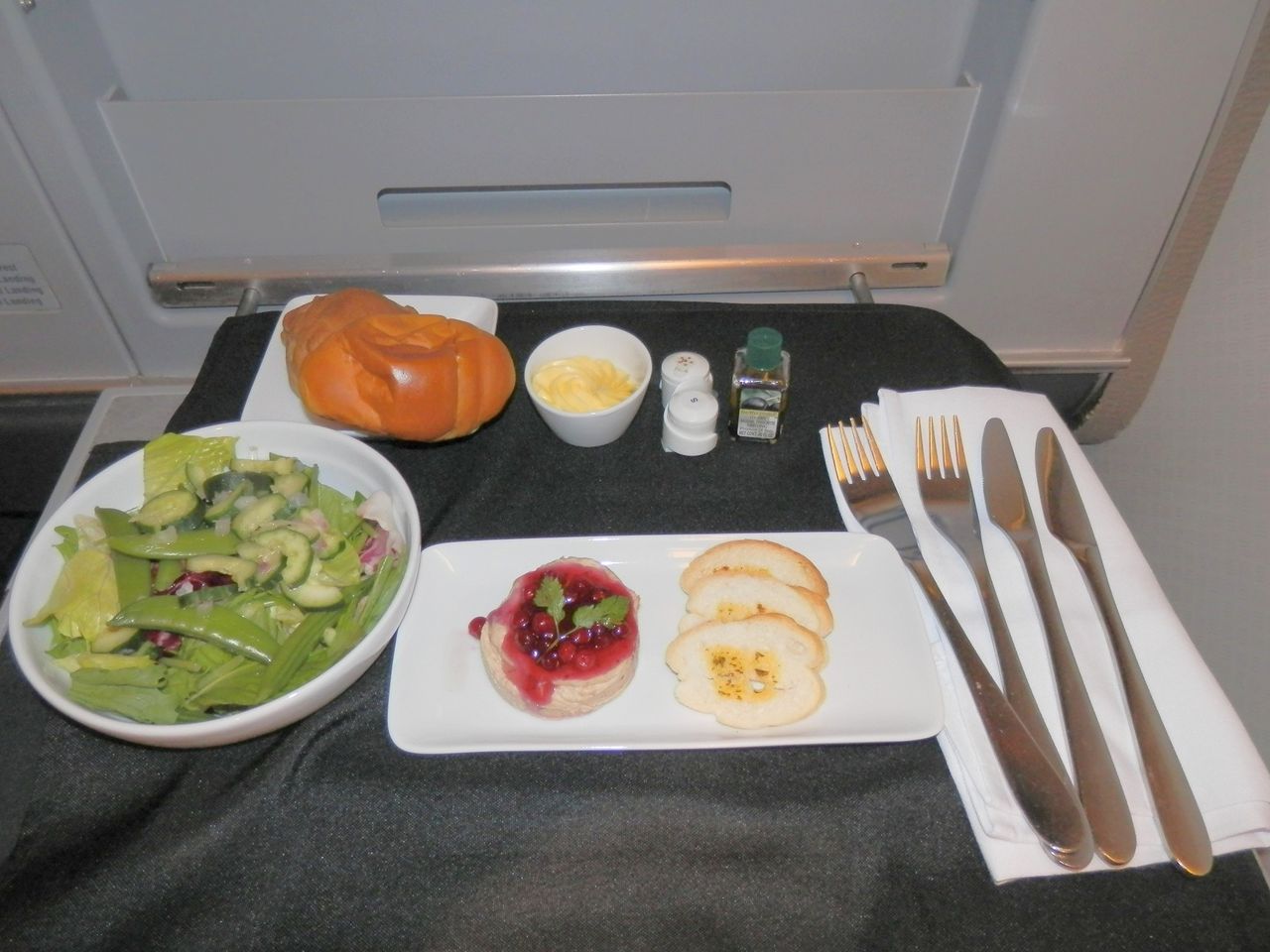 アメリカン航空Cクラスに乗って！ | Avian Wing