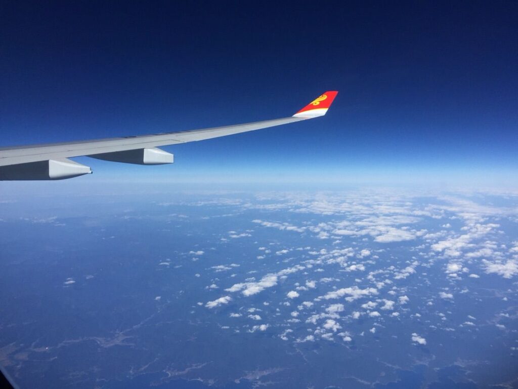 掲載実績 | Avian Wing